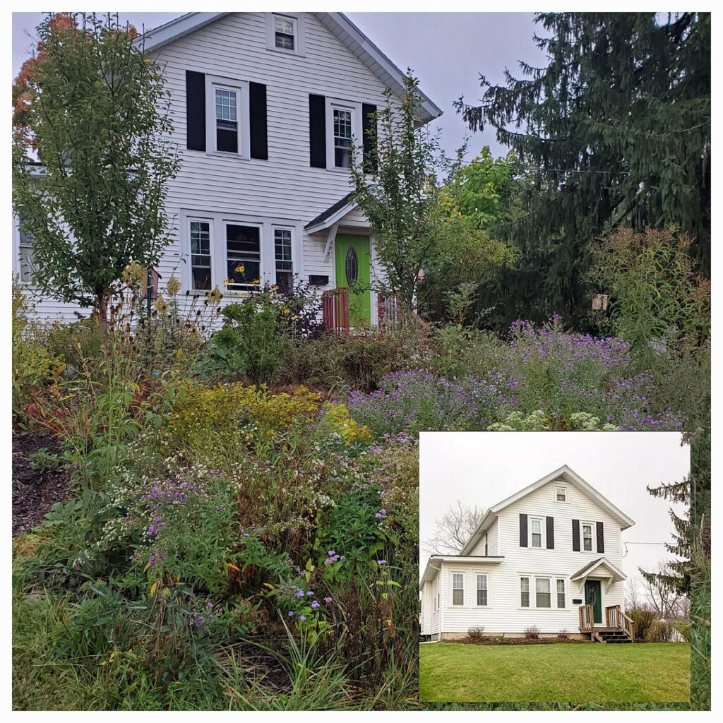 Native Yard Project – North Central Ohio Land Conservancy